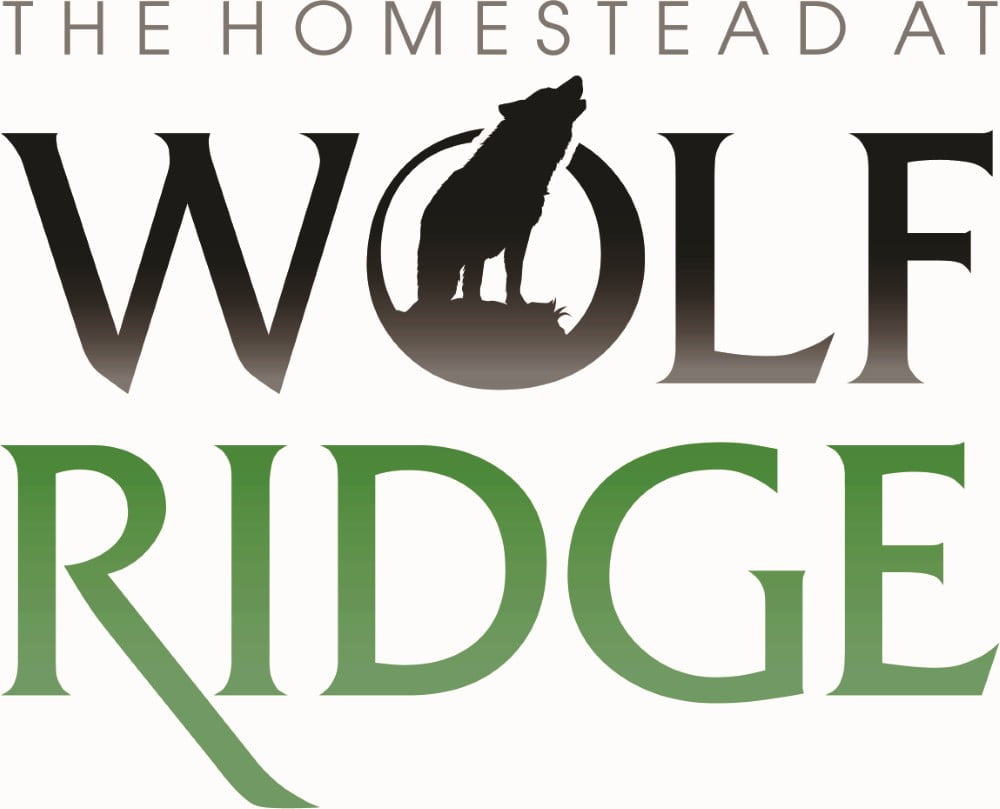The Homestead at Wolf Ridge Golf Club - Madawaska Valley Studio Tour